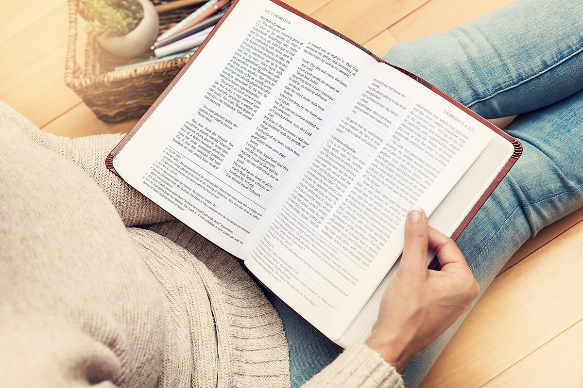 our-amazing-bible-2 – The Passion Translation