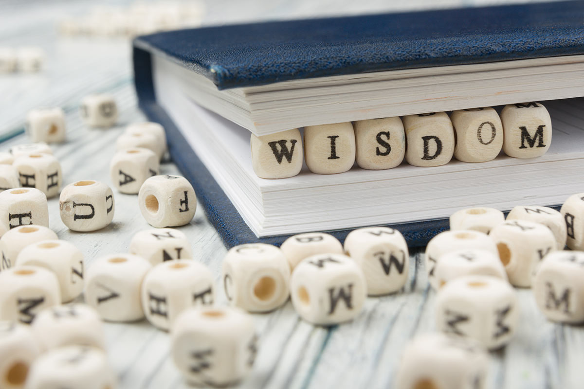 The Wisdom Challenge —Experience the Life-Changing Power of Proverbs ...